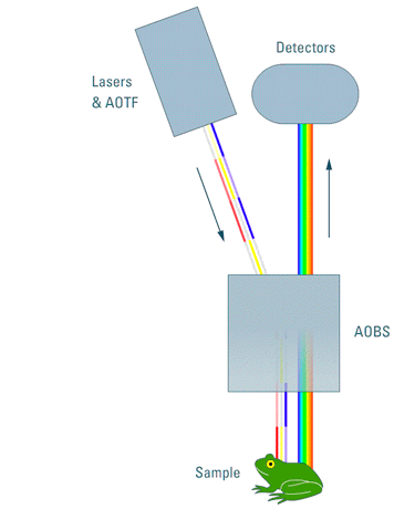 Beam Splitting: Leica Science Lab