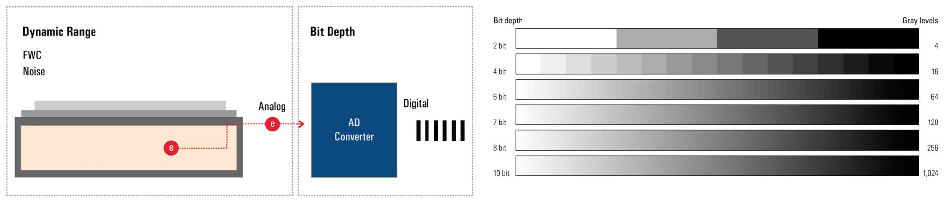 Technical Terms for Digital Microscope Cameras and Image Analysis ...