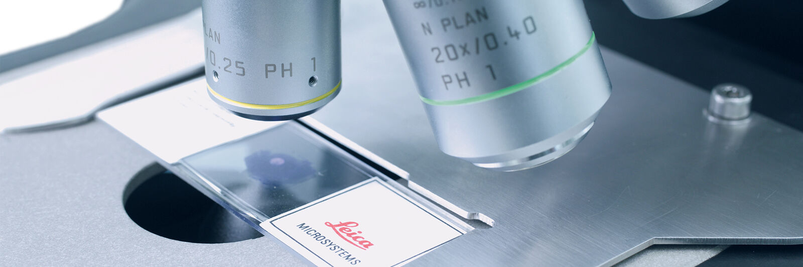 DM1000 Uniquely Ergonomic System Microscope | Products | Leica Microsystems