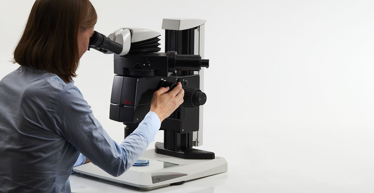Ergonomic Accessories for Stereo Microscopes and Macroscopes | Products ...