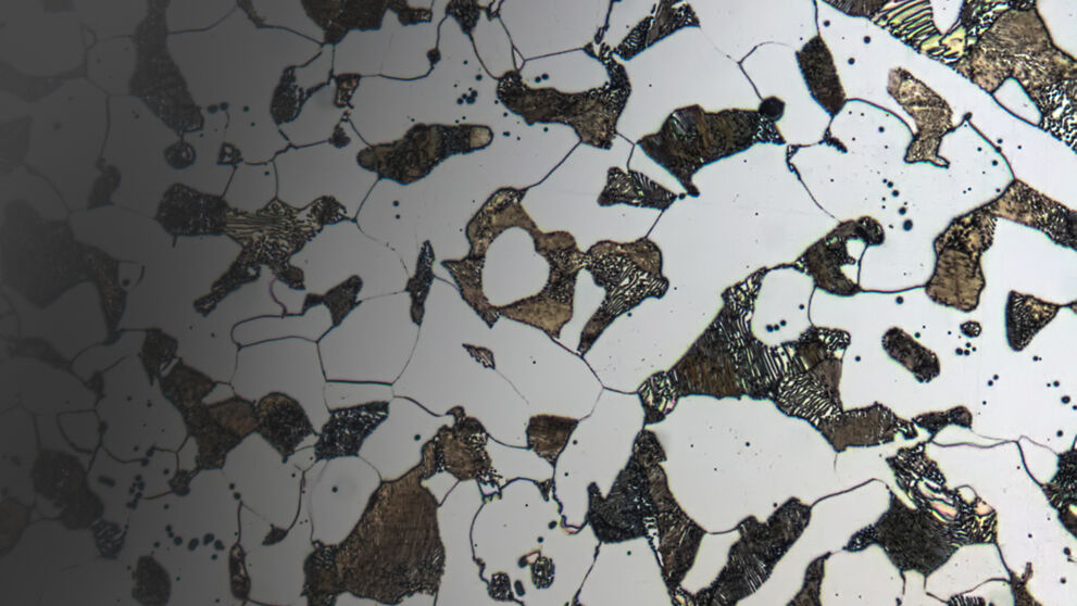 Metallography | Applications | Leica Microsystems