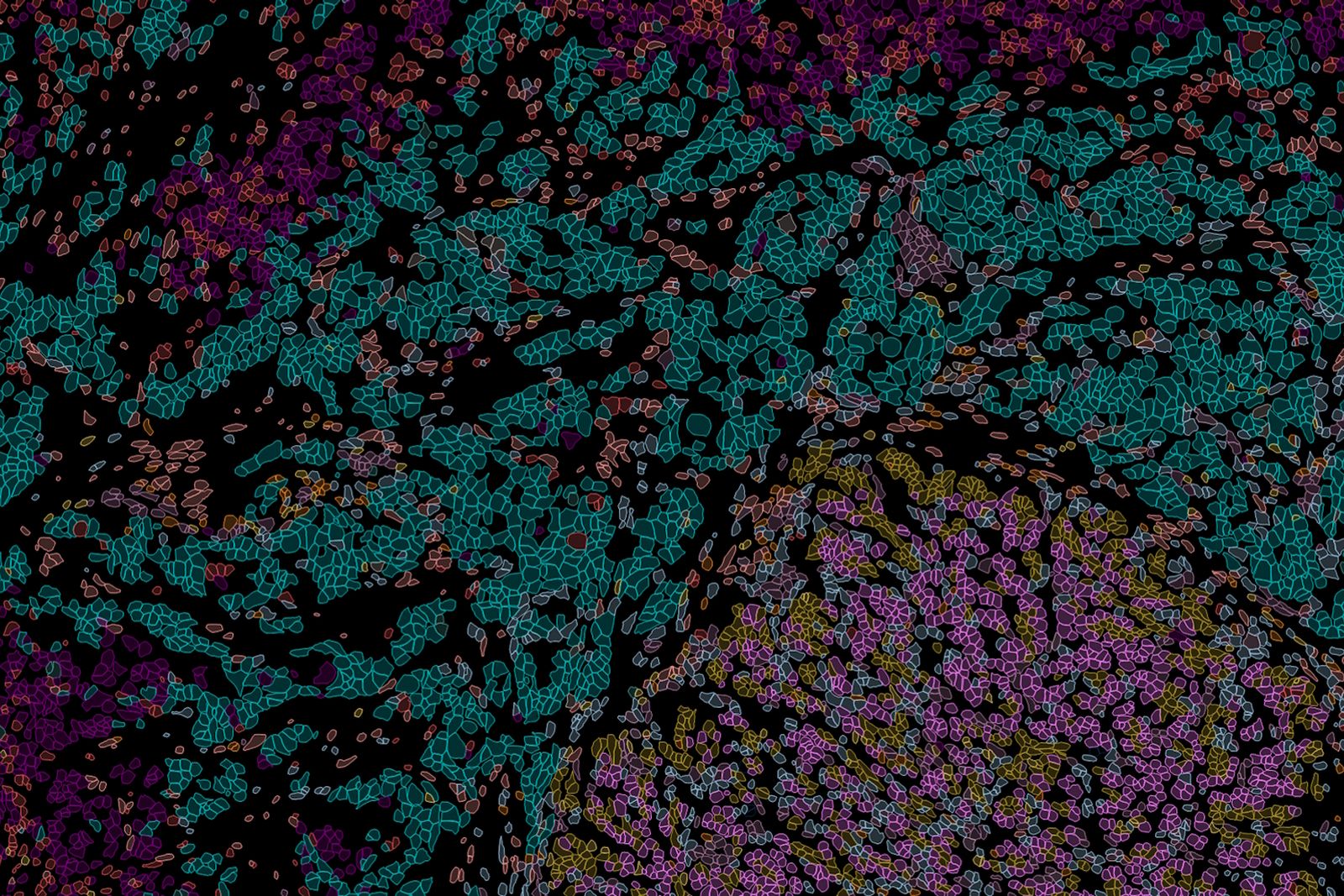 A Guide to Spatial Biology | Learn & Share | Leica Microsystems