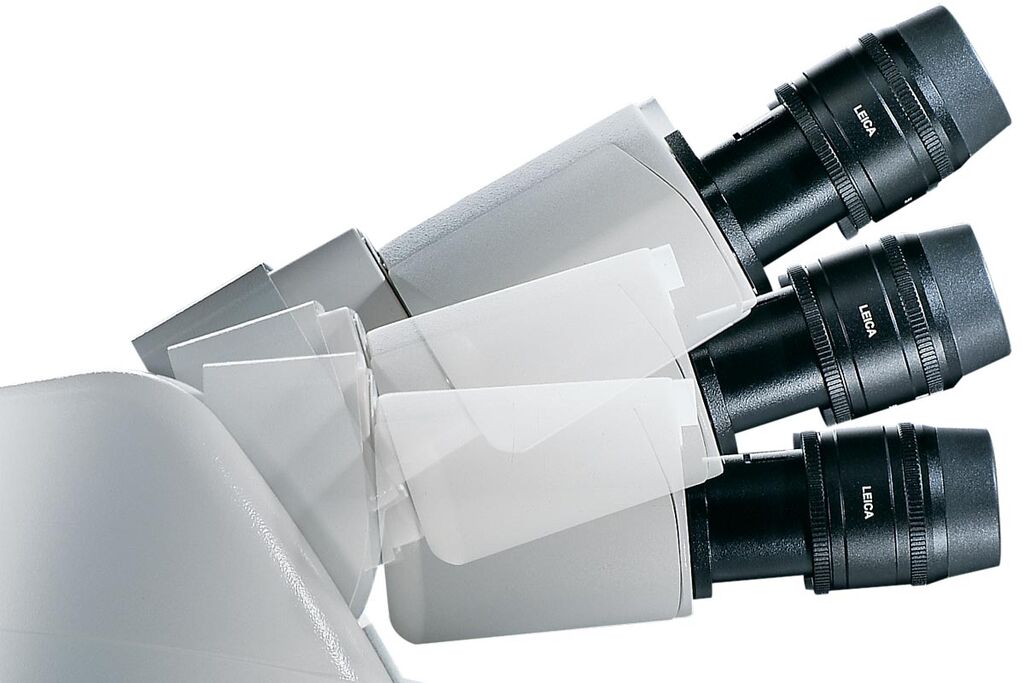 DM1000 Uniquely Ergonomic System Microscope | Products | Leica Microsystems