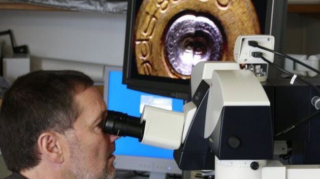 FS C & FS M Comparison Macroscope - Applications | Products | Leica ...