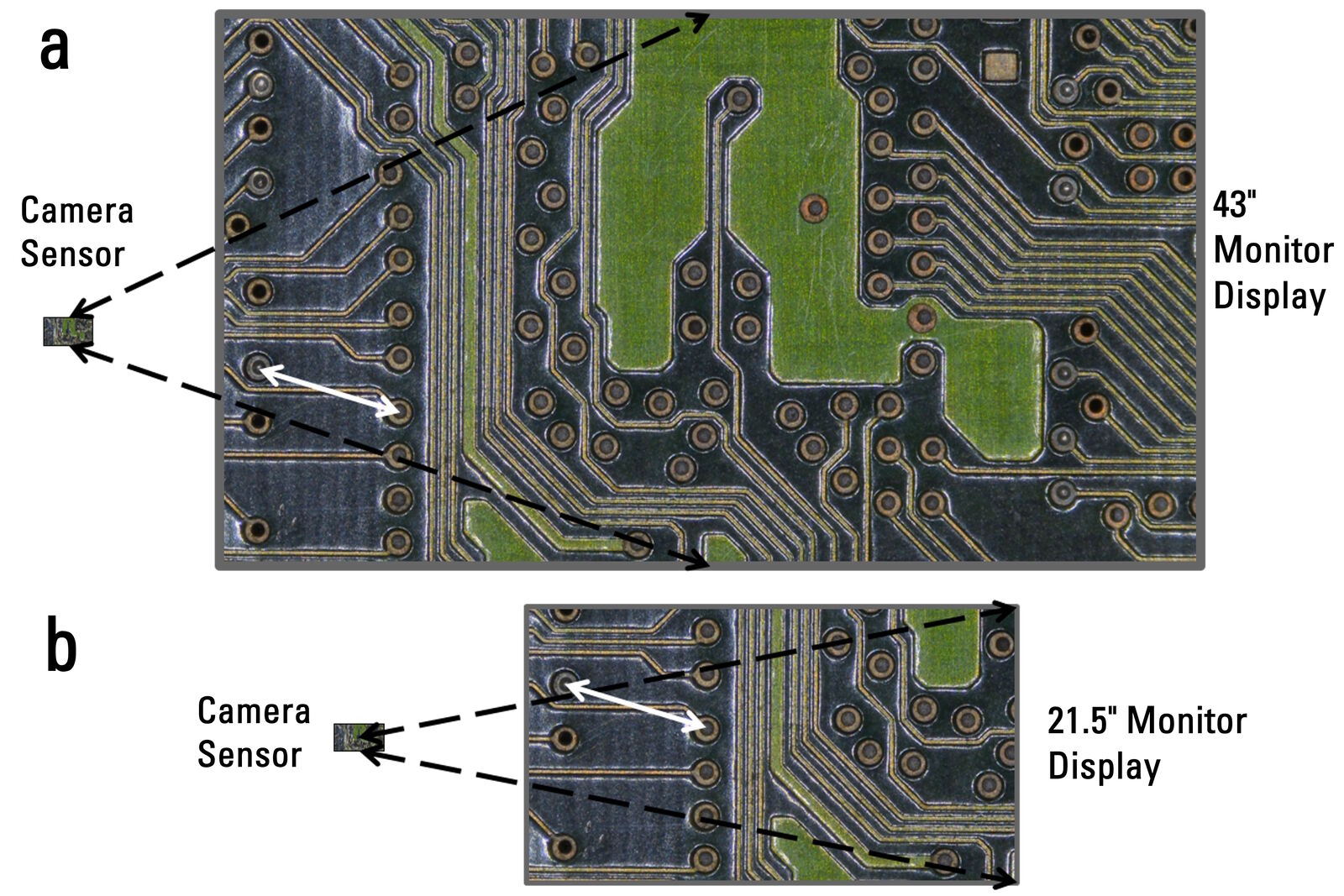 Understanding Clearly the Magnification of Microscopy | Learn & Share ...