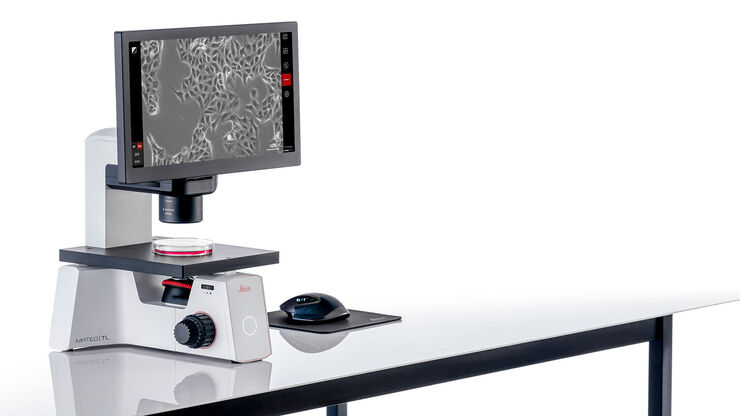 Microscopy Solutions for Cell Culture | Applications | Leica Microsystems