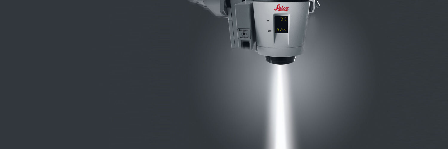 Neurosurgery | Applications | Leica Microsystems