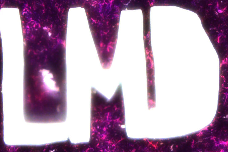 Leica LMD6 & LMD7 Laser Microdissection Microscopes - Applications ...