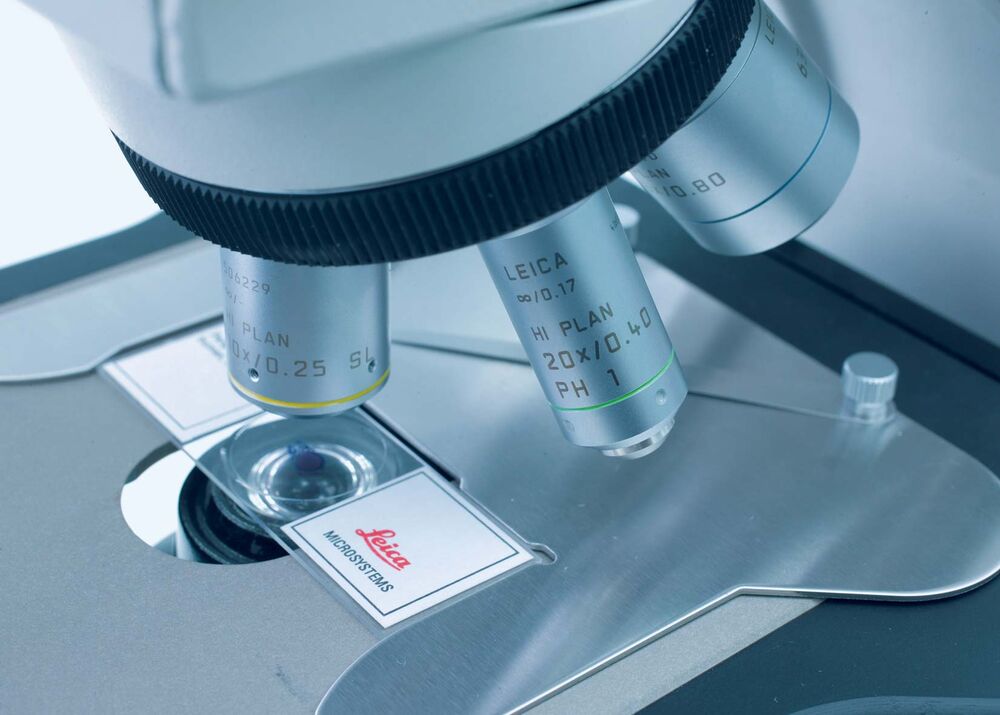 DM1000 LED Ergonomic system microscope | Products | Leica Microsystems