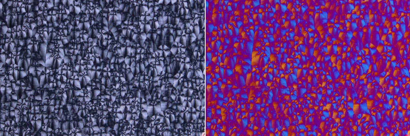 Polarizing Microscope Image Gallery | Learn & Share | Leica Microsystems