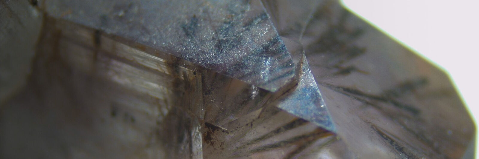 Leica EZ4 W & EZ4 E Educational stereo microscopes for college ...