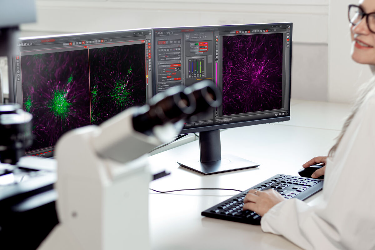 Details | Products | Leica Microsystems