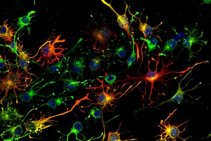 Leica DM2500 & DM2500 LED Optical microscope | Products | Leica ...