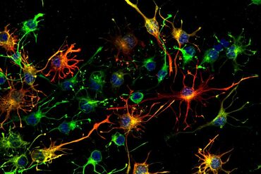 Leica DM2500 & DM2500 LED Optical microscope | Products | Leica ...