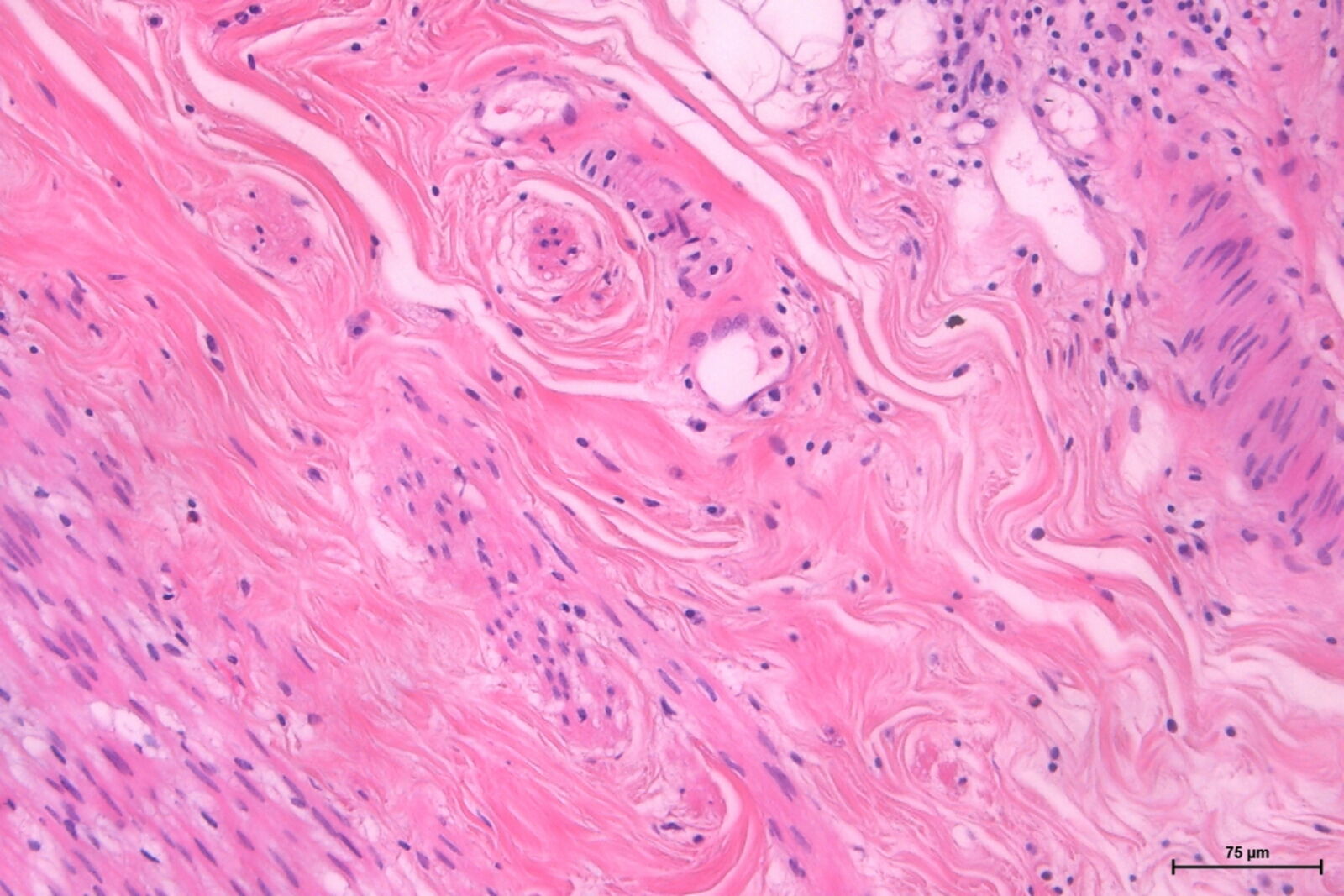 The Time to Diagnosis is Crucial in Clinical Pathology | Learn & Share ...