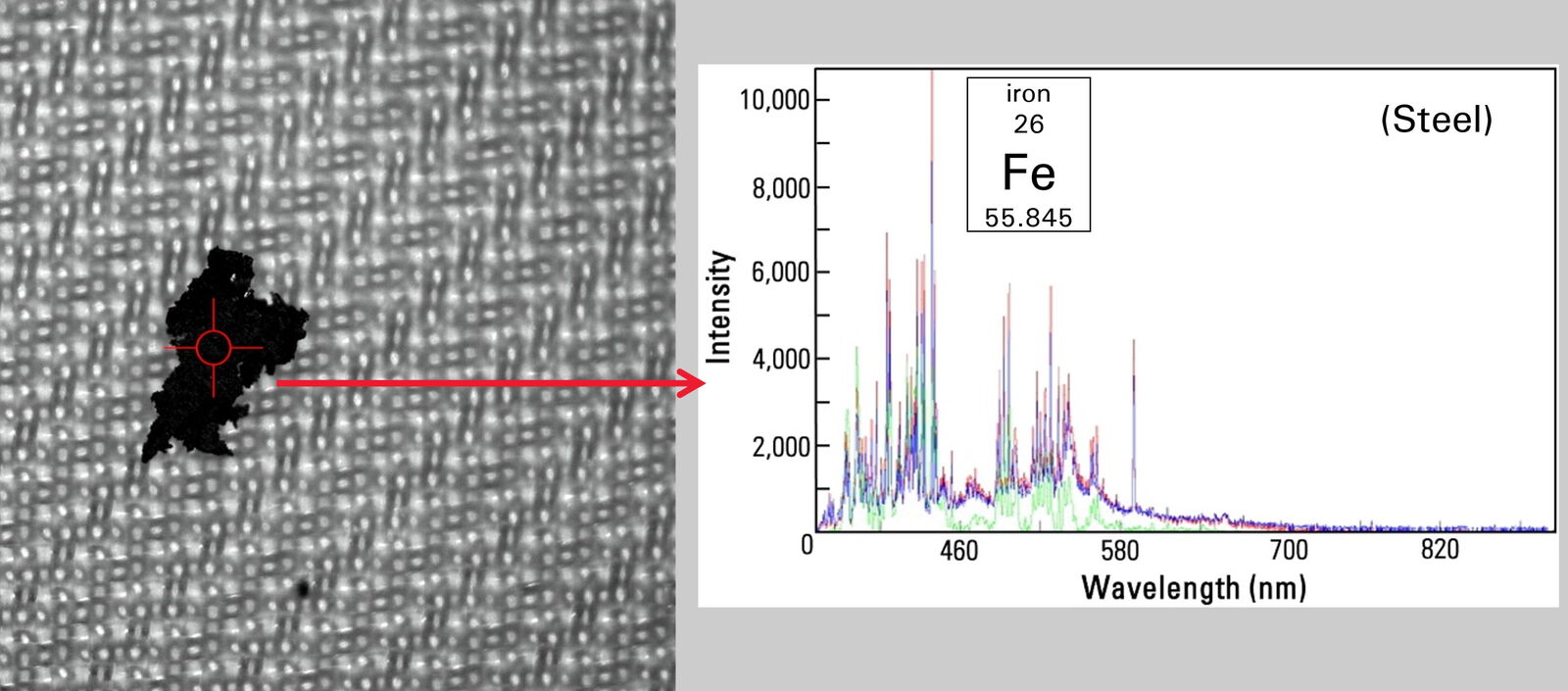 Efficient Particle Counting and Analysis | Learn & Share | Leica ...
