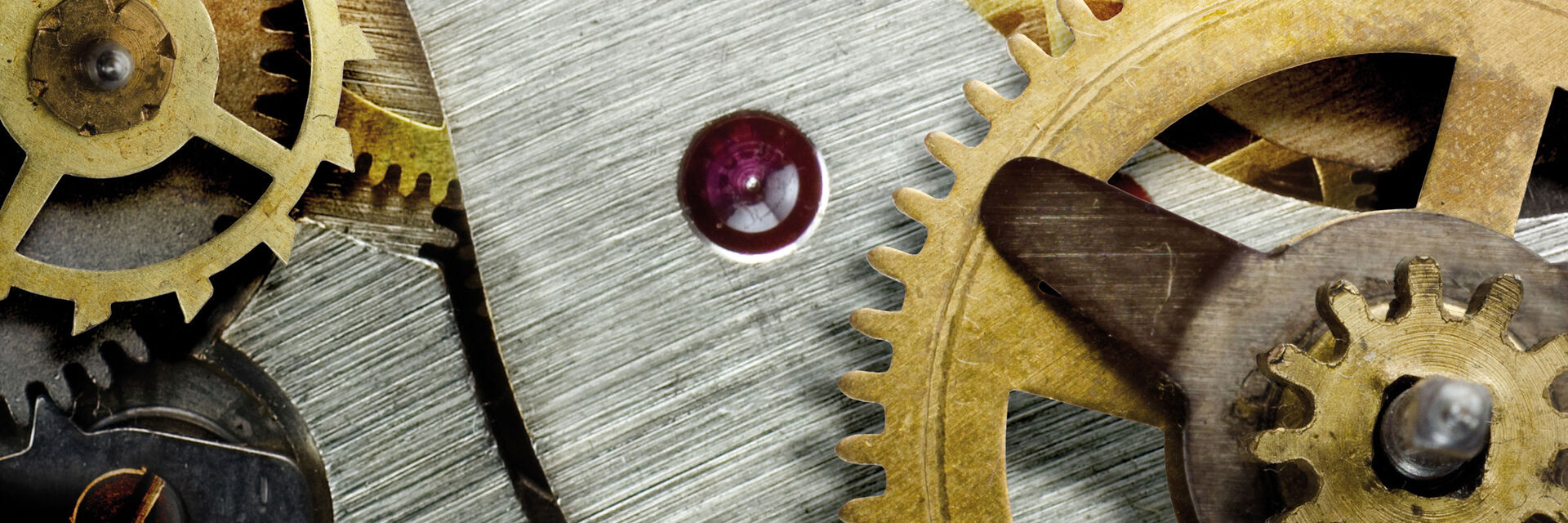 Microscopes for Watchmaking Industry | Applications | Leica Microsystems