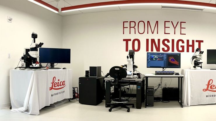 THUNDER Imager Cell Spinning Disk - Applications | Products | Leica ...