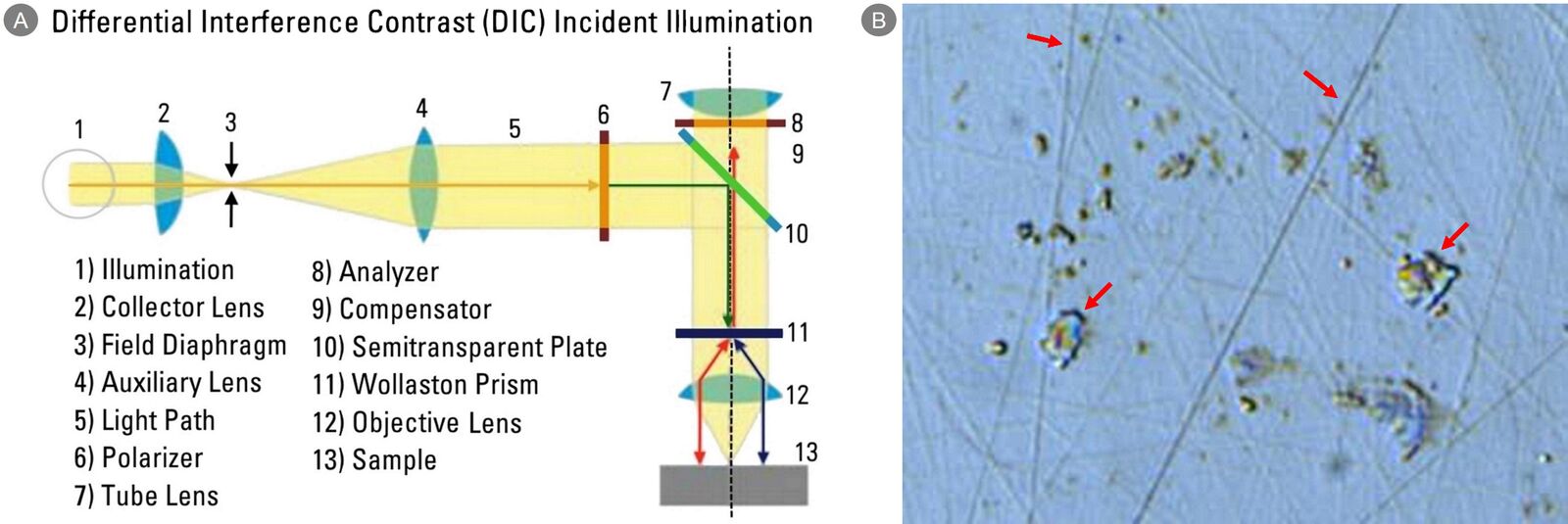 Rate the Quality of Your Steel: Free Webinar and Report | Learn & Share ...