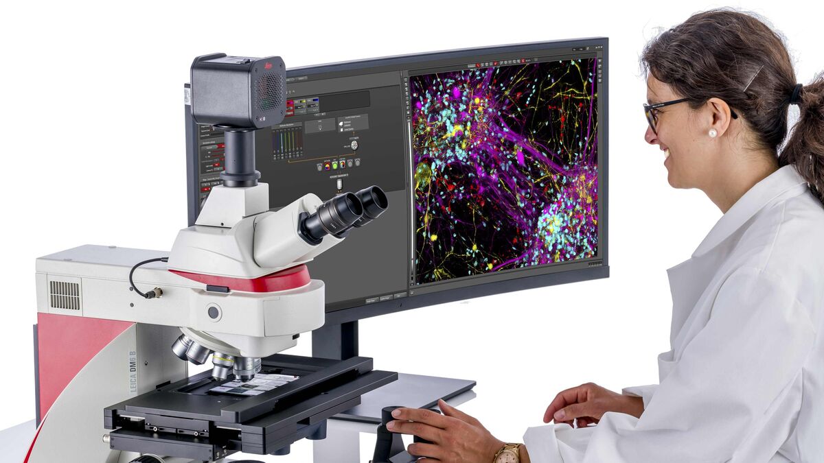 THUNDER Imaging Systems | Products | Leica Microsystems