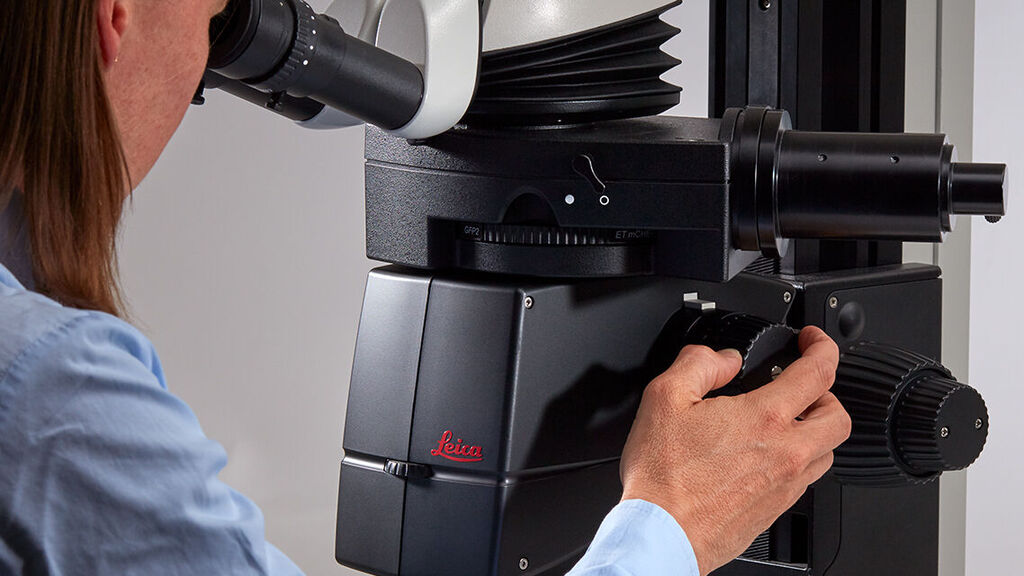 A Guide to Phase Contrast | Learn & Share | Leica Microsystems