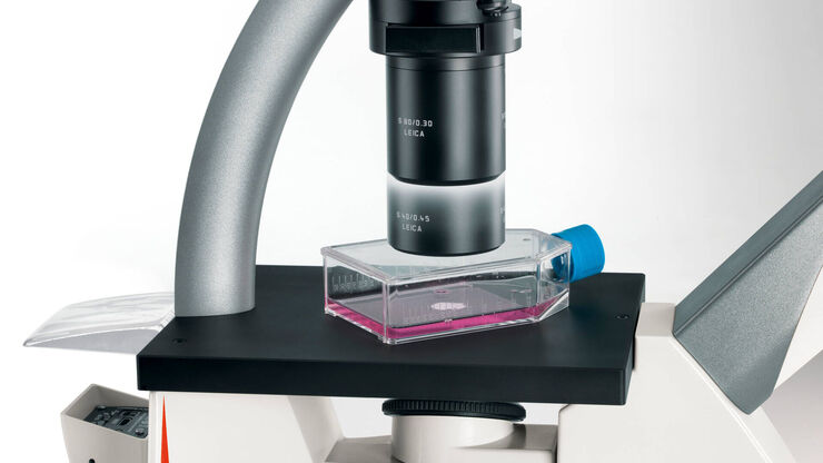 DMi1 Inverted Microscope for Cell Culture | Products | Leica Microsystems
