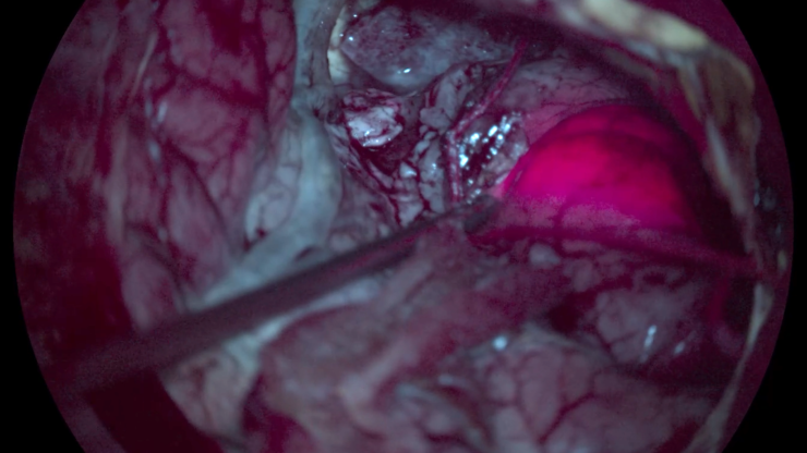 Evolved ARveo 8 | Products | Leica Microsystems