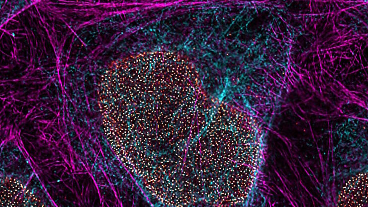 How to Perform Dynamic Multicolor Time-Lapse Imaging | Science Lab ...