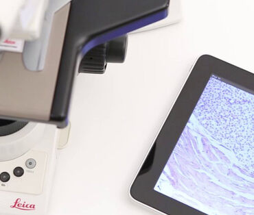 DM1000 LED Ergonomic system microscope | Products | Leica Microsystems