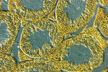 Leica DM2500 & DM2500 LED Optical microscope | Products | Leica ...