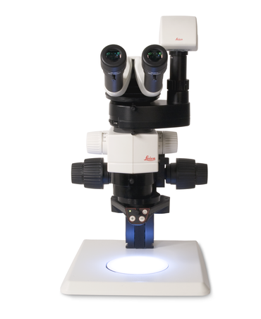 M50, M60 & M80 Routine stereo microscopes - Media | Products | Leica ...