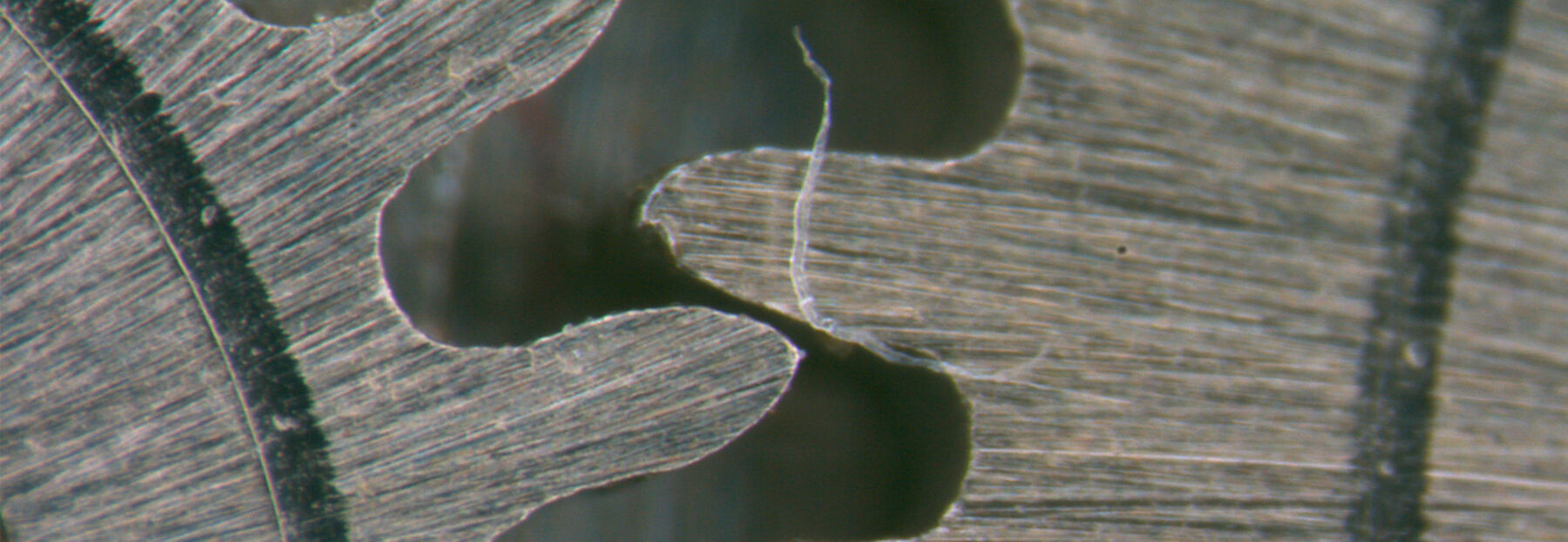 Microscopes for Watchmaking Industry | Applications | Leica Microsystems