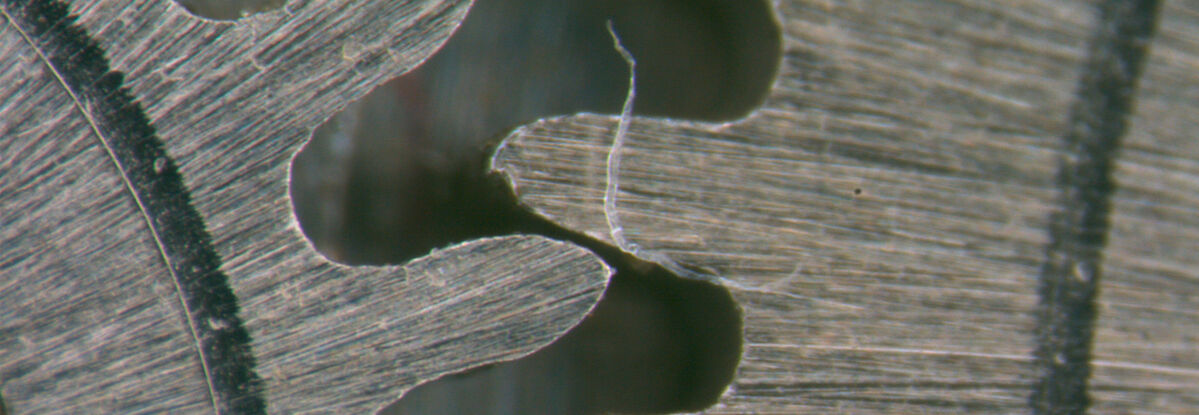 Microscopes for Watchmaking Industry | Applications | Leica Microsystems