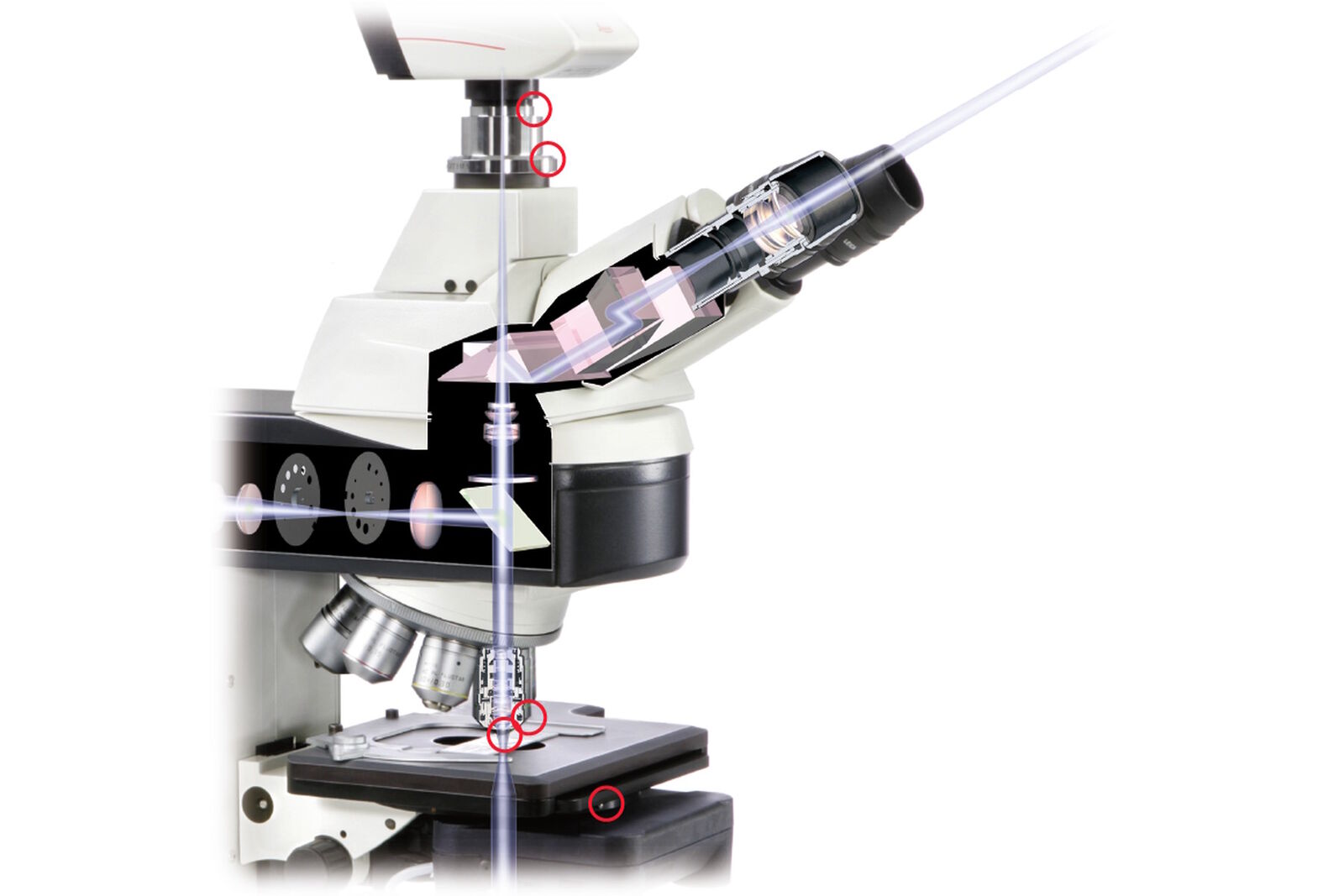 How to Clean Microscope Optics | Learn & Share | Leica Microsystems