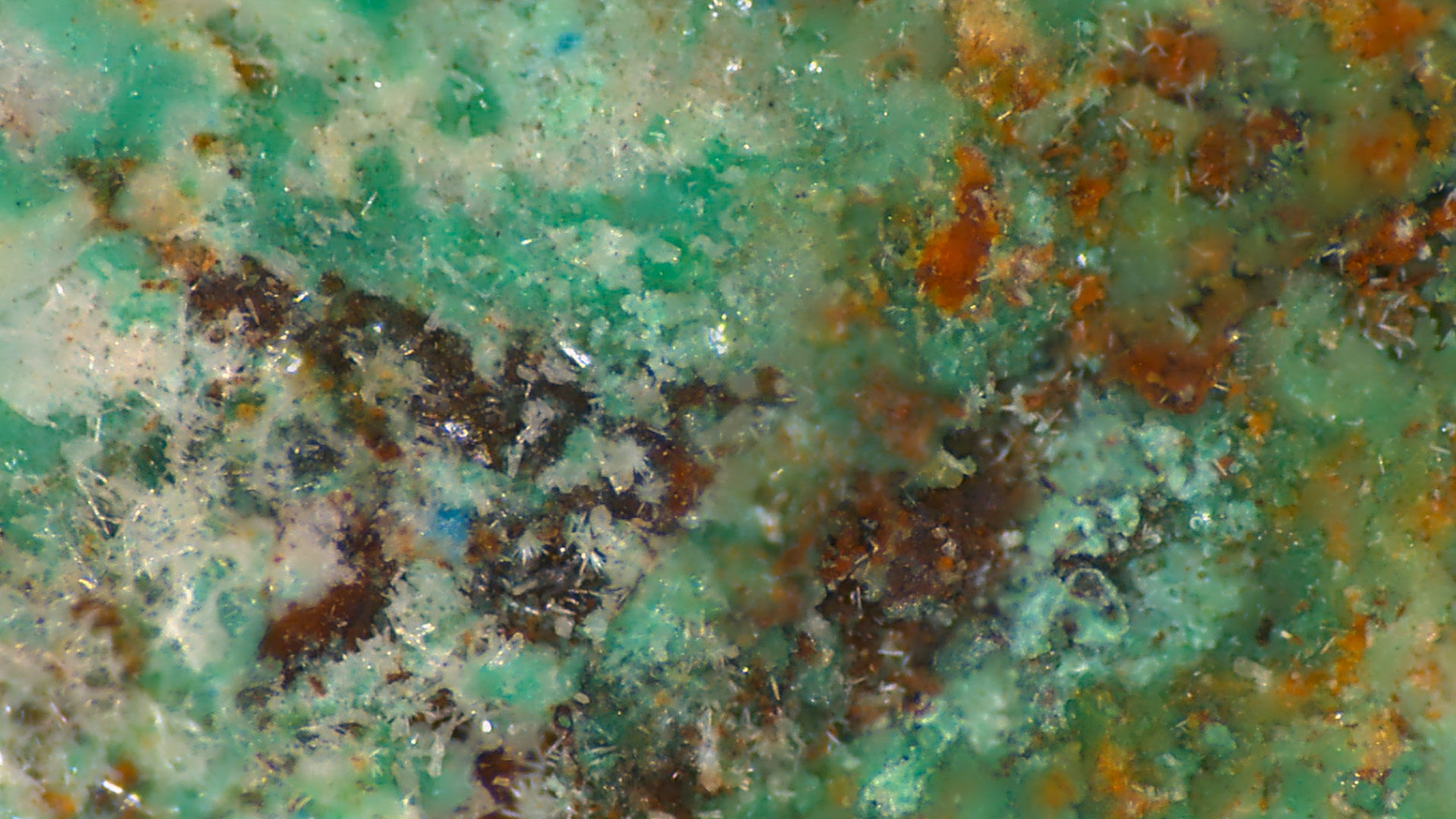 Electron Microscope Sample Preparation | Products | Leica Microsystems