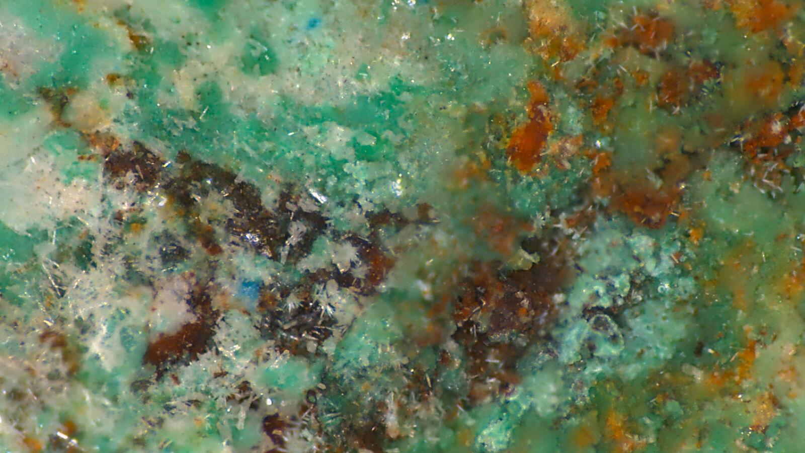 Electron Microscope Sample Preparation | Products | Leica Microsystems