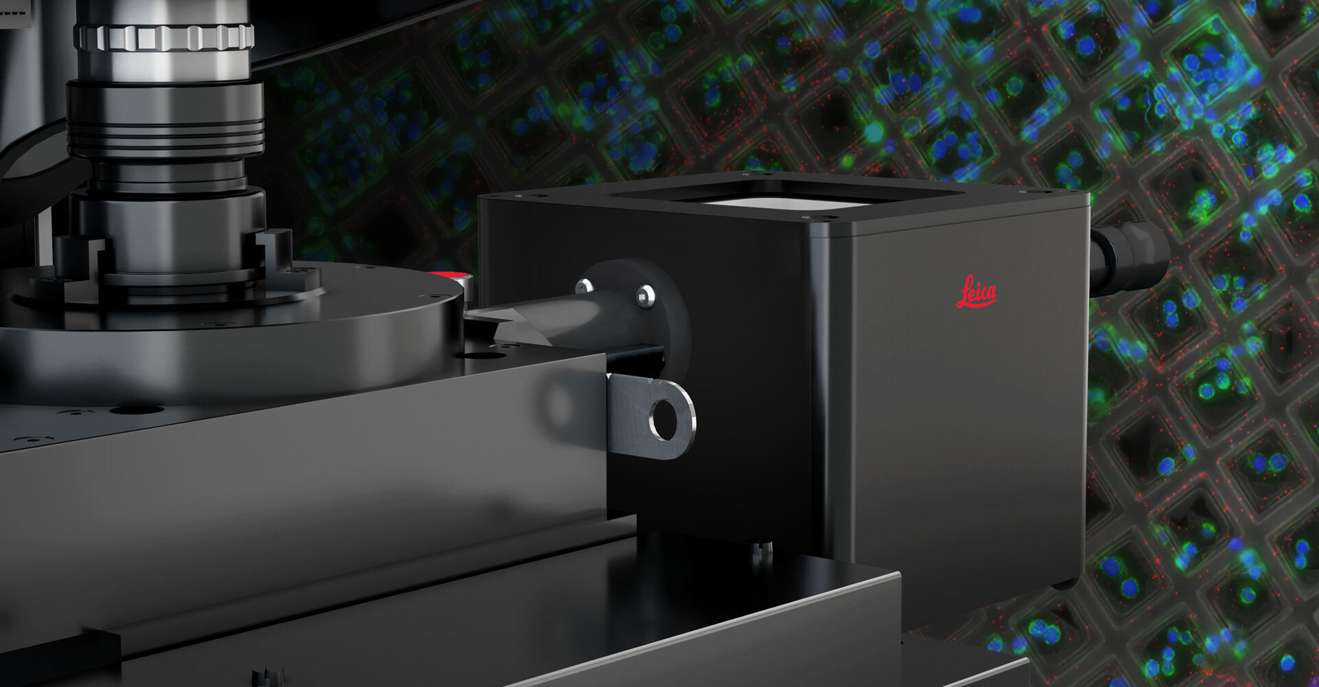 STELLARIS 5 Cryo Cryo confocal light microscope | Products | Leica ...