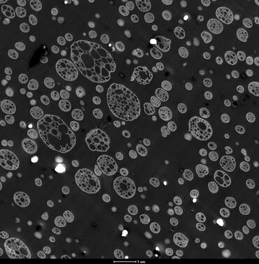 EM UC7 Ultramicrotome - Media | Products | Leica Microsystems