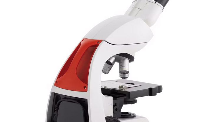 DM500 Educational Microscope - Media | Products | Leica Microsystems