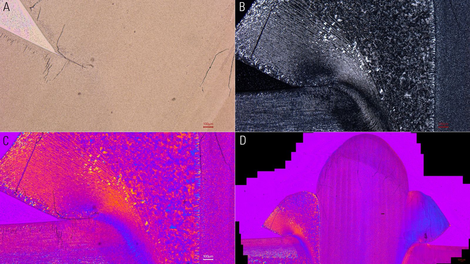 Polarizing Microscope Image Gallery | Learn & Share | Leica Microsystems
