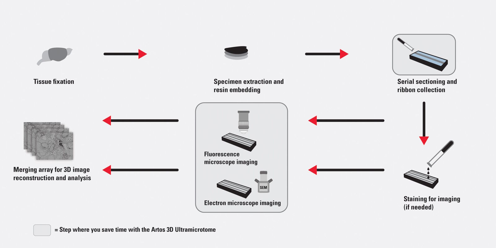 High Resolution Array Tomography with Automated Serial Sectioning | Learn & Share | Leica ...