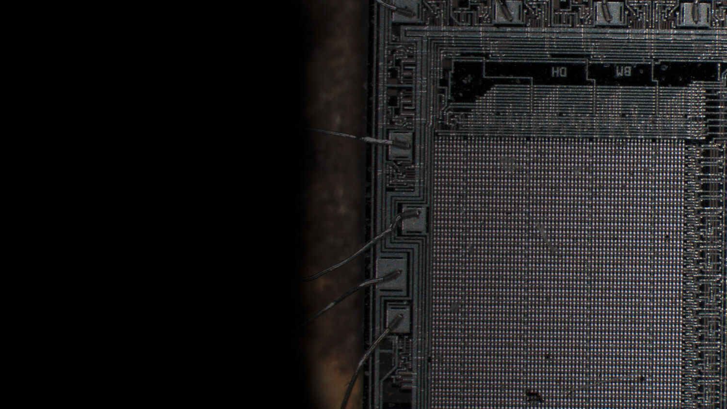 Microscope Cameras | Products | Leica Microsystems