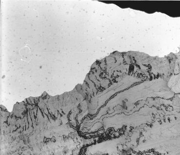 EM UC7 Ultramicrotome - Media | Products | Leica Microsystems