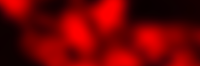 Leica M205 FCA & Leica M205 FA Fluorescence stereo microscopes ...