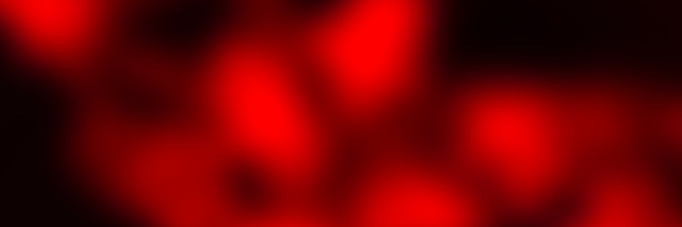 Leica M205 FCA & Leica M205 FA Fluorescence stereo microscopes ...