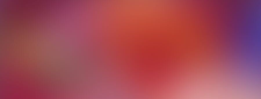 CaptiView Bildeinspiegelung | Produkte | Leica Microsystems