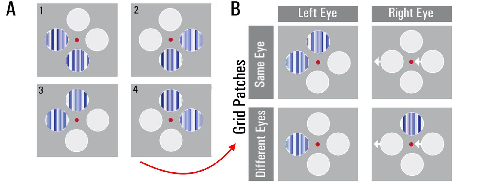 What is the FusionOptics Technology? | Learn & Share | Leica Microsystems