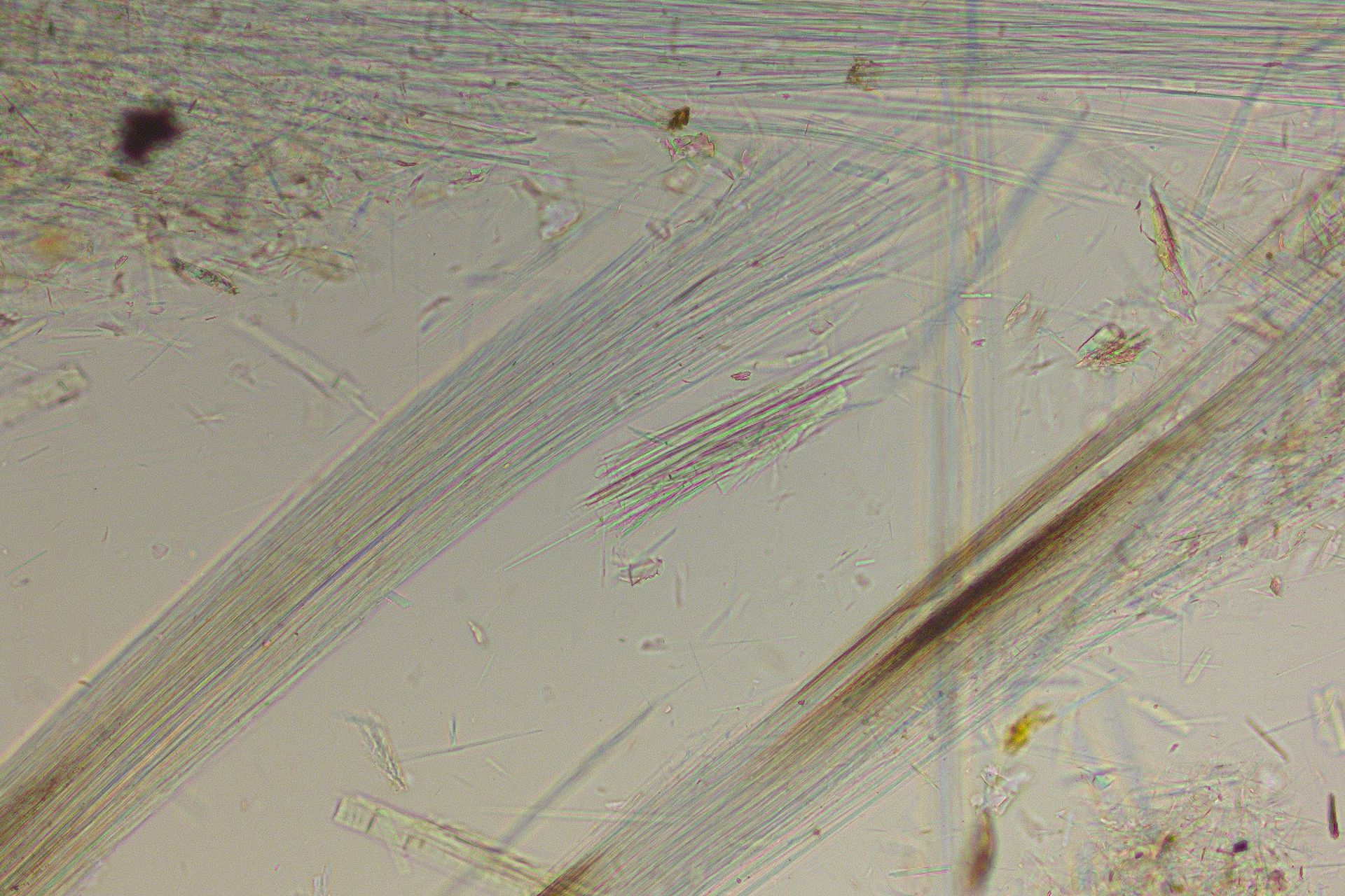 Visoria P Polarization Microscope | Products | Leica Microsystems