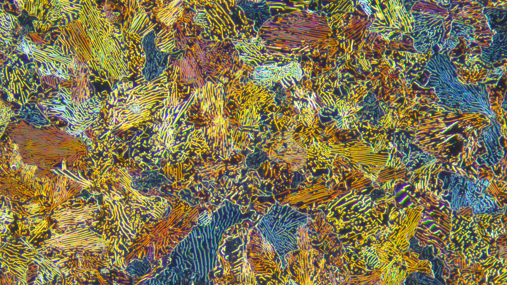 Electron Microscope Sample Preparation | Products | Leica Microsystems