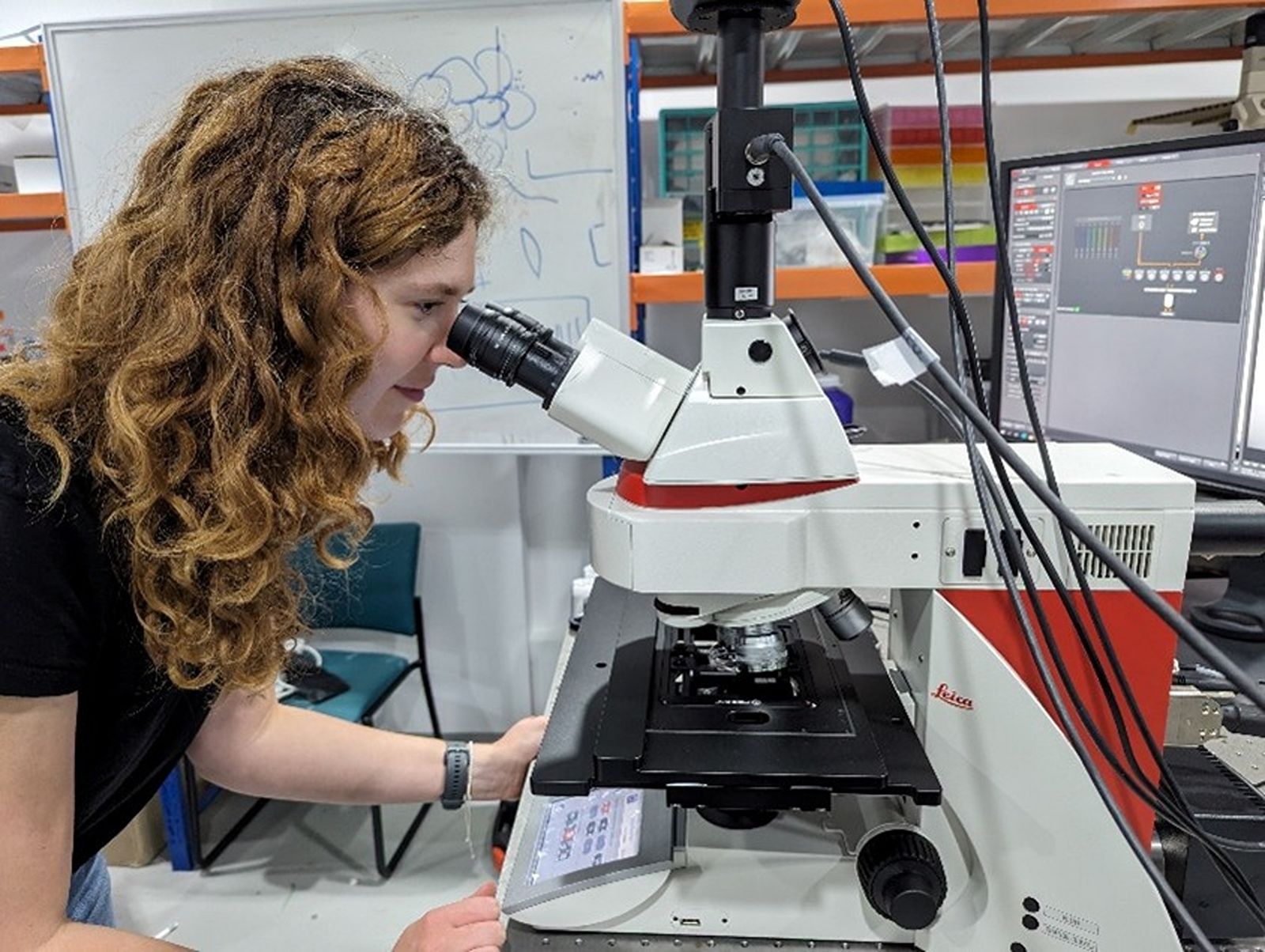 Improving Zebrafish-Embryo Screening with Fast, High-Contrast Imaging | Learn & Share | Leica ...